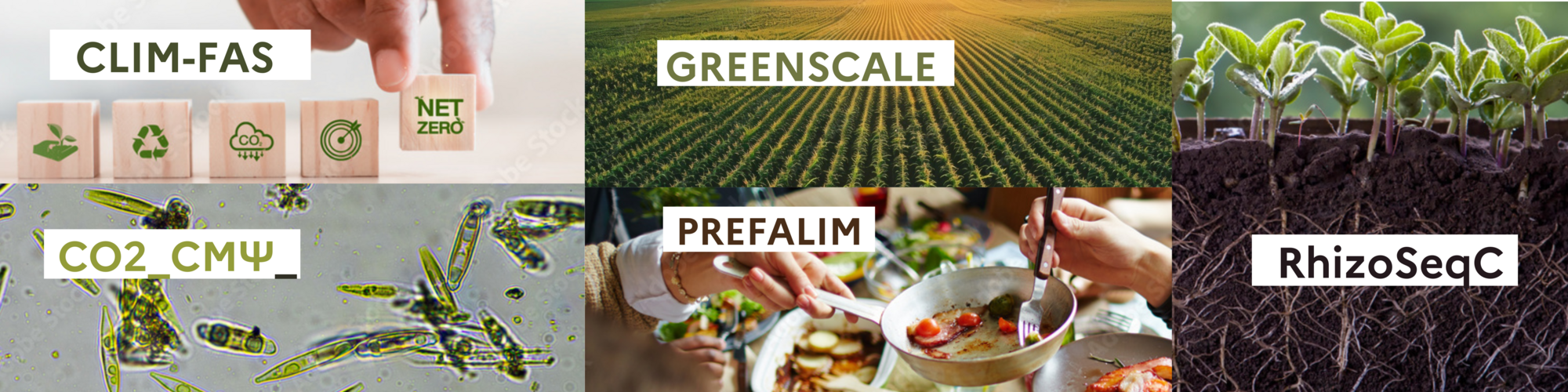 Cinq nouveaux projets financés par FairCarboN ! - FairCarboN